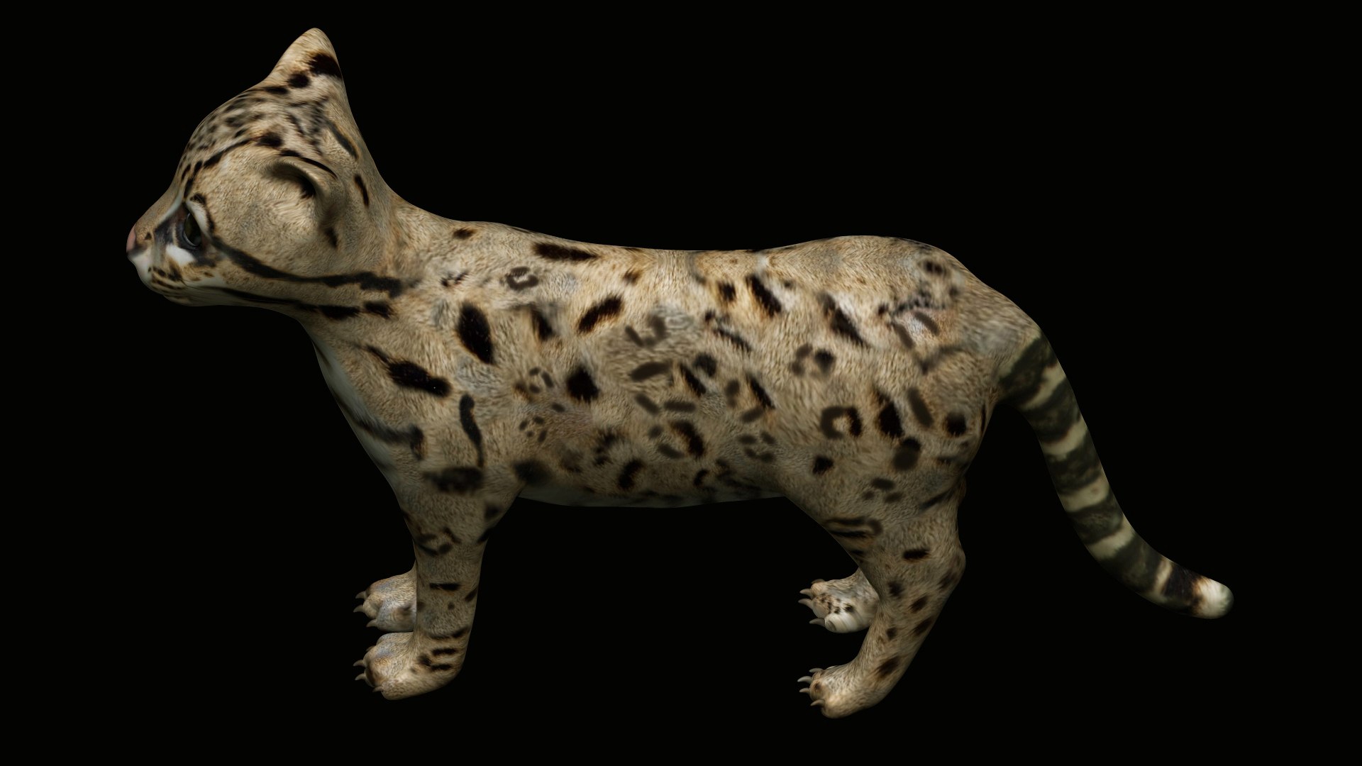 3D fully rigged ocelot - TurboSquid 1705330