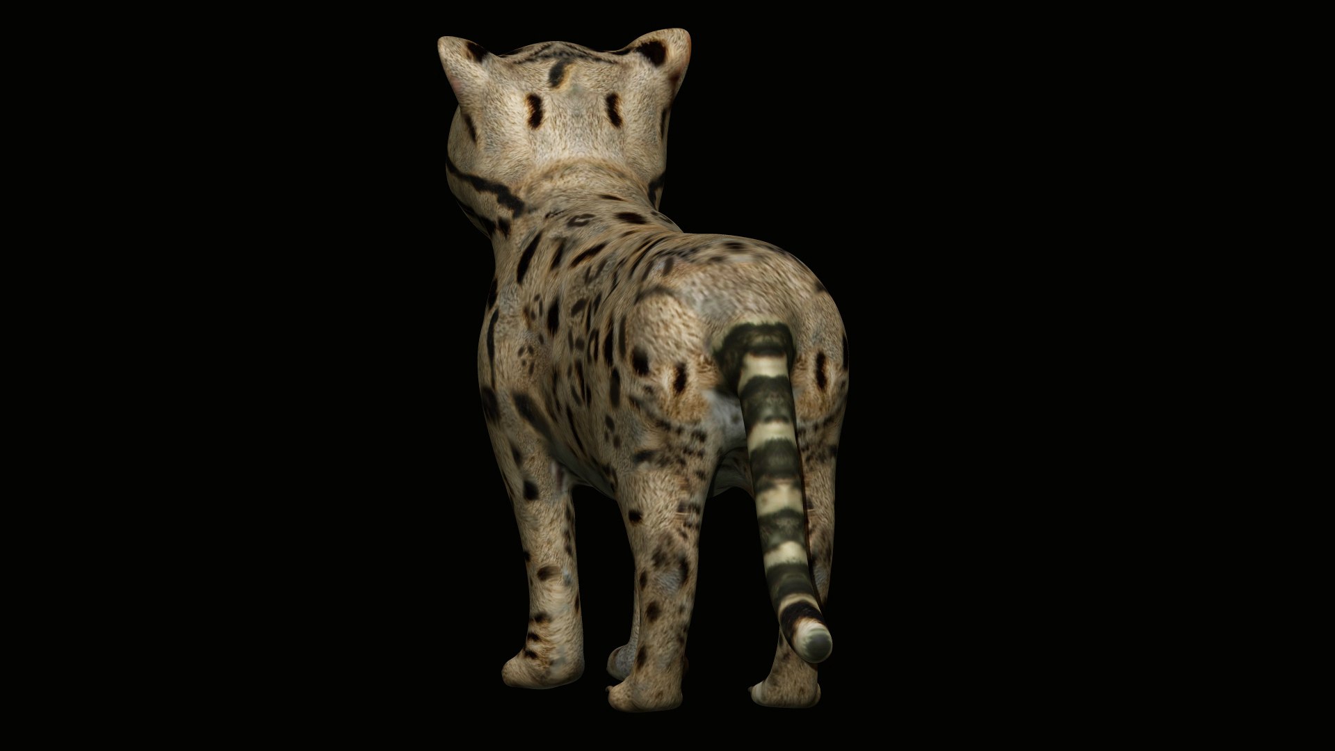 3D fully rigged ocelot - TurboSquid 1705330
