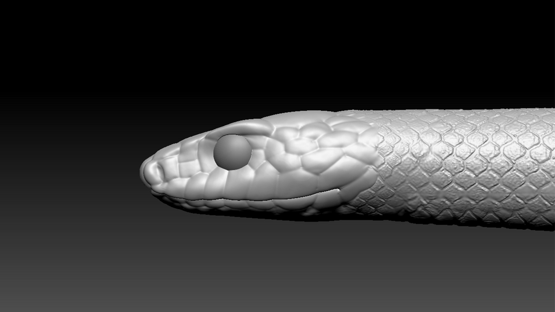 Black Snake ZBrush Model Model - TurboSquid 2365447
