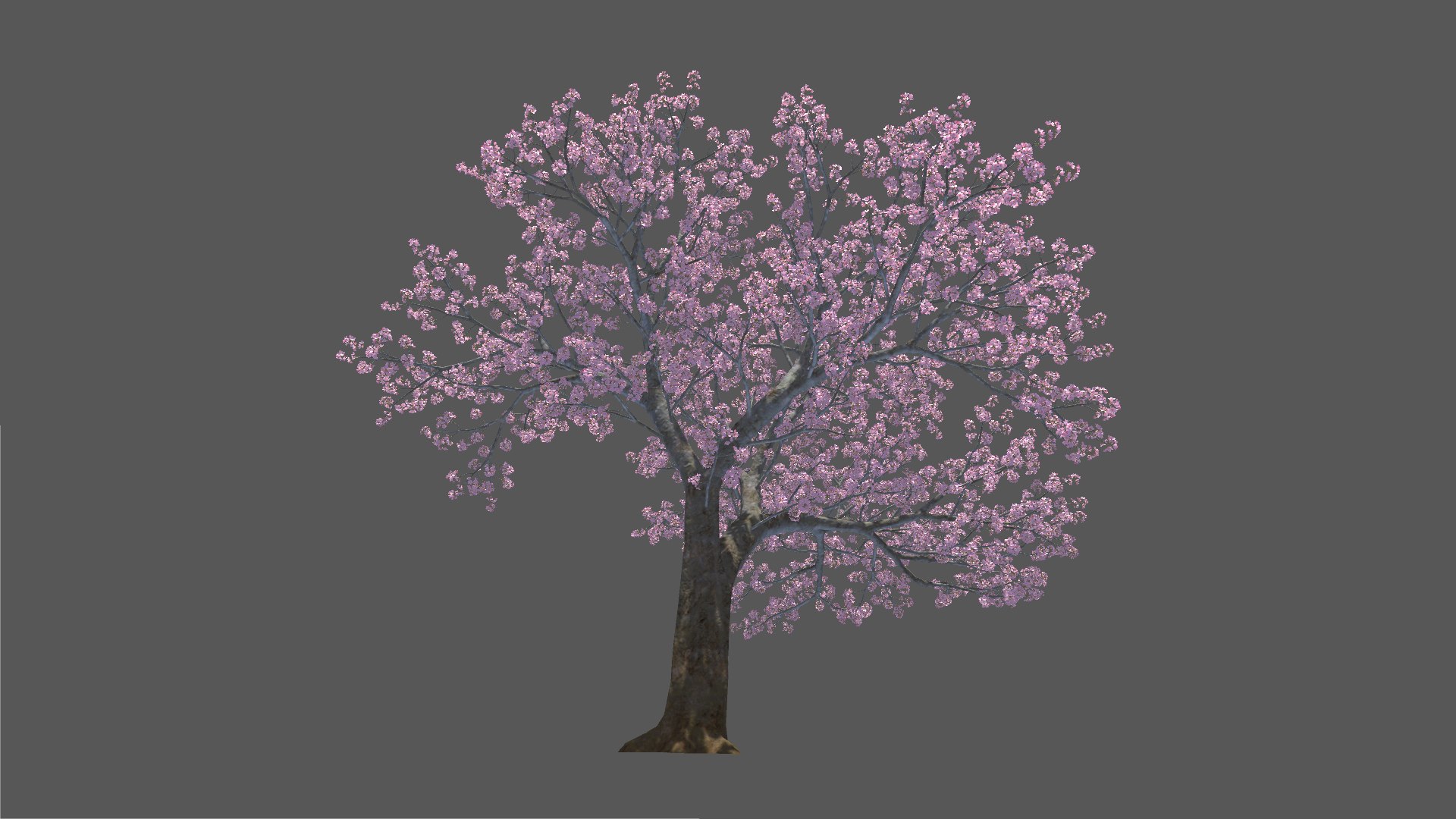 Sakura Tree 3D - TurboSquid 1918209
