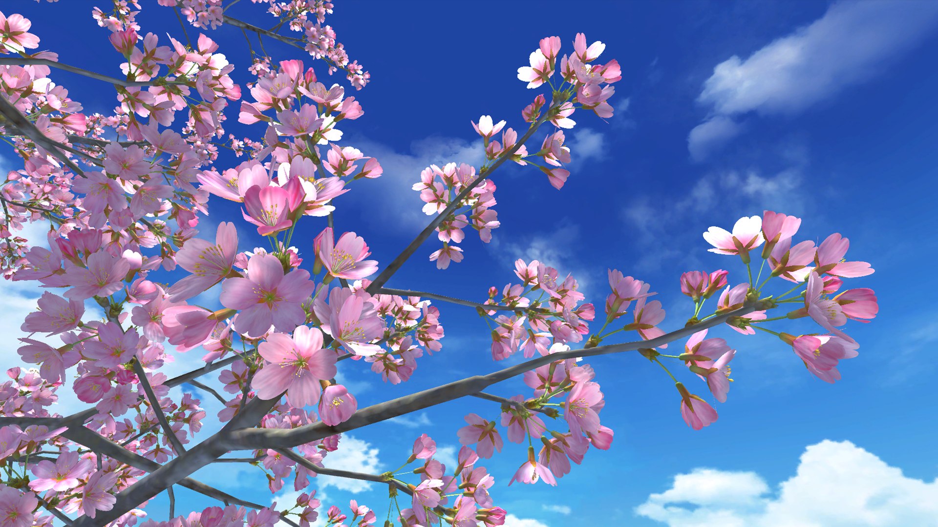 Sakura Tree 3D - TurboSquid 1918209