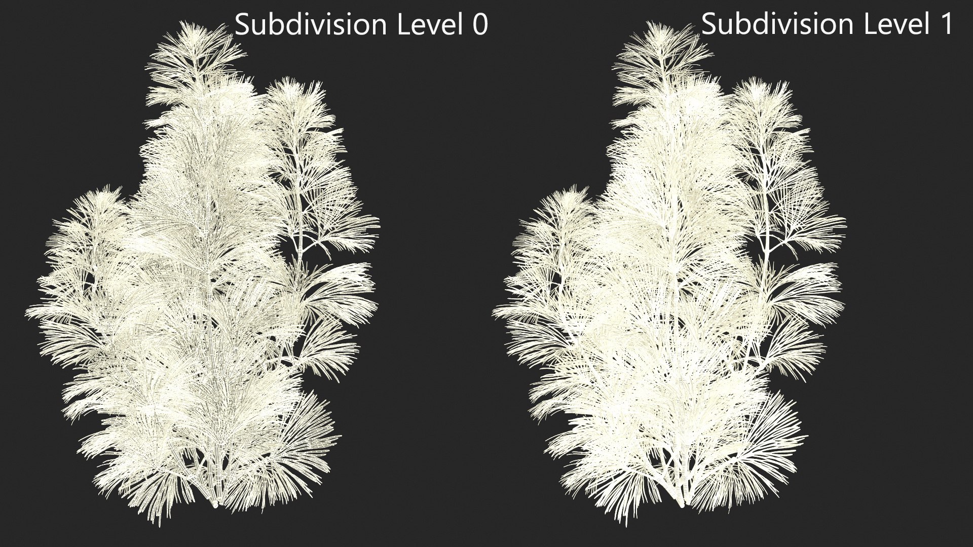 3D Cabomba Caroliniana Aquarium Plant Model - TurboSquid 2151636