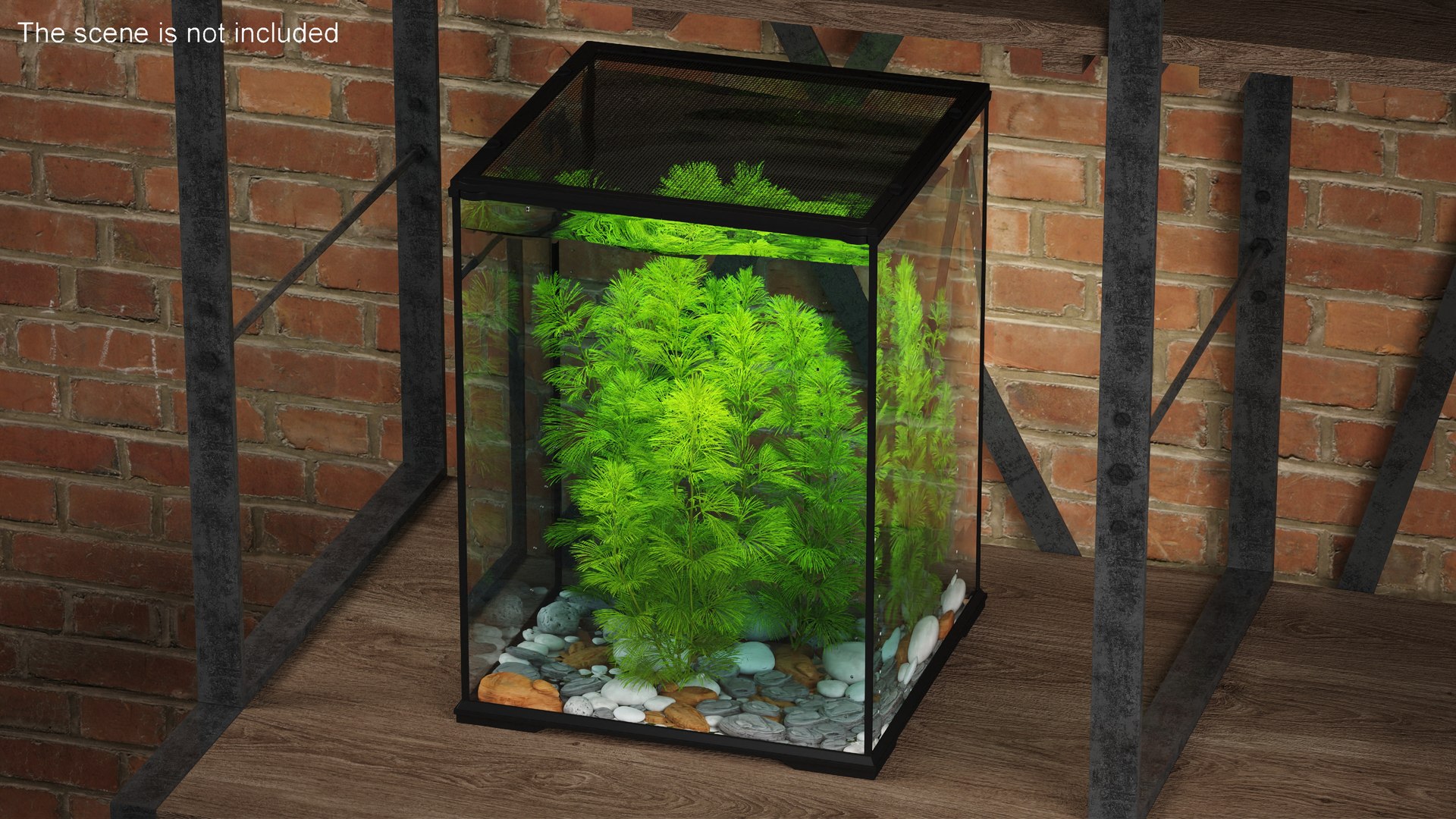 3D Cabomba Caroliniana Aquarium Plant Model - TurboSquid 2151636