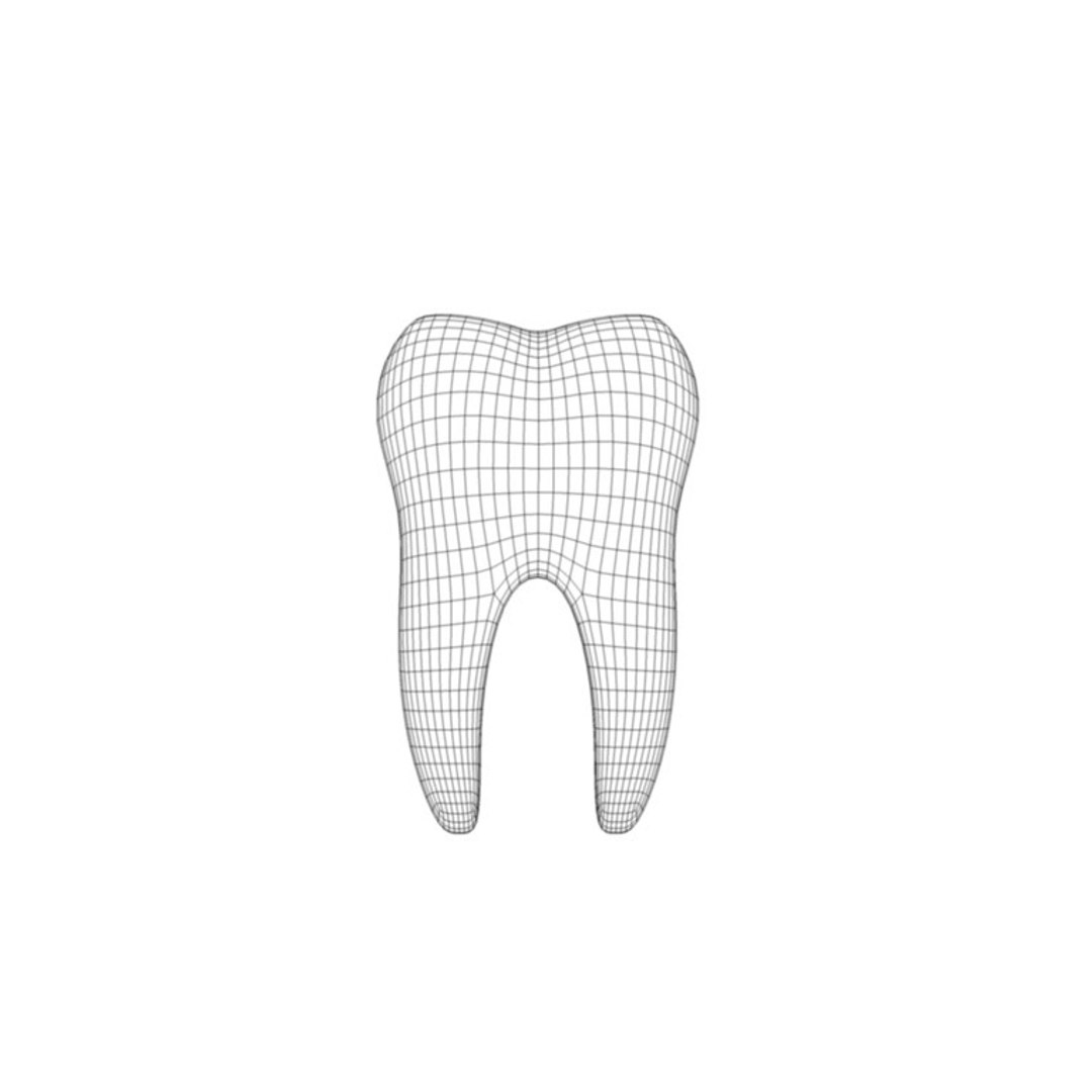 3d Tooth