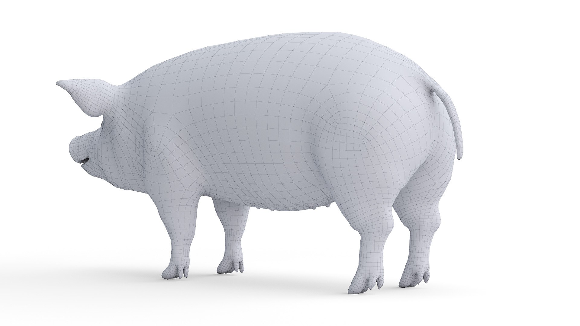 Pig Body And Skeleton Static 3D Model - TurboSquid 1762642