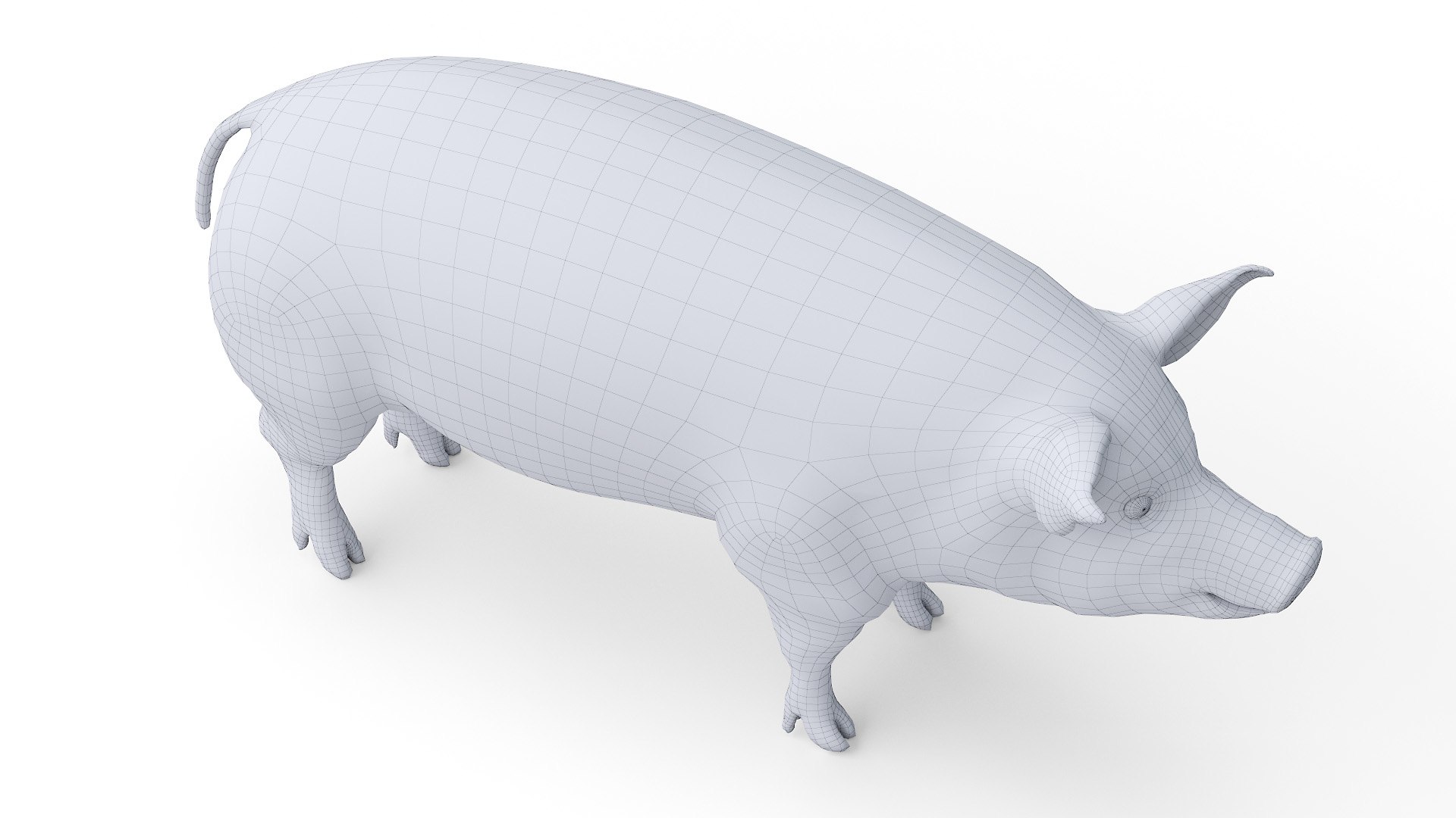 Pig Body And Skeleton Static 3D Model - TurboSquid 1762642