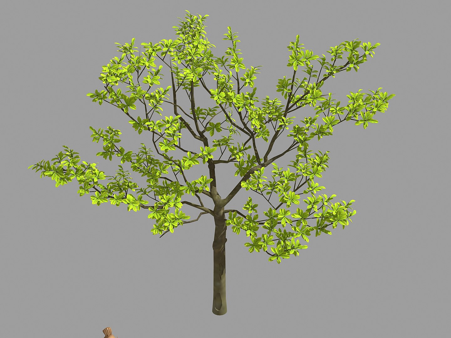3D leaves - tree 32 model - TurboSquid 1448786