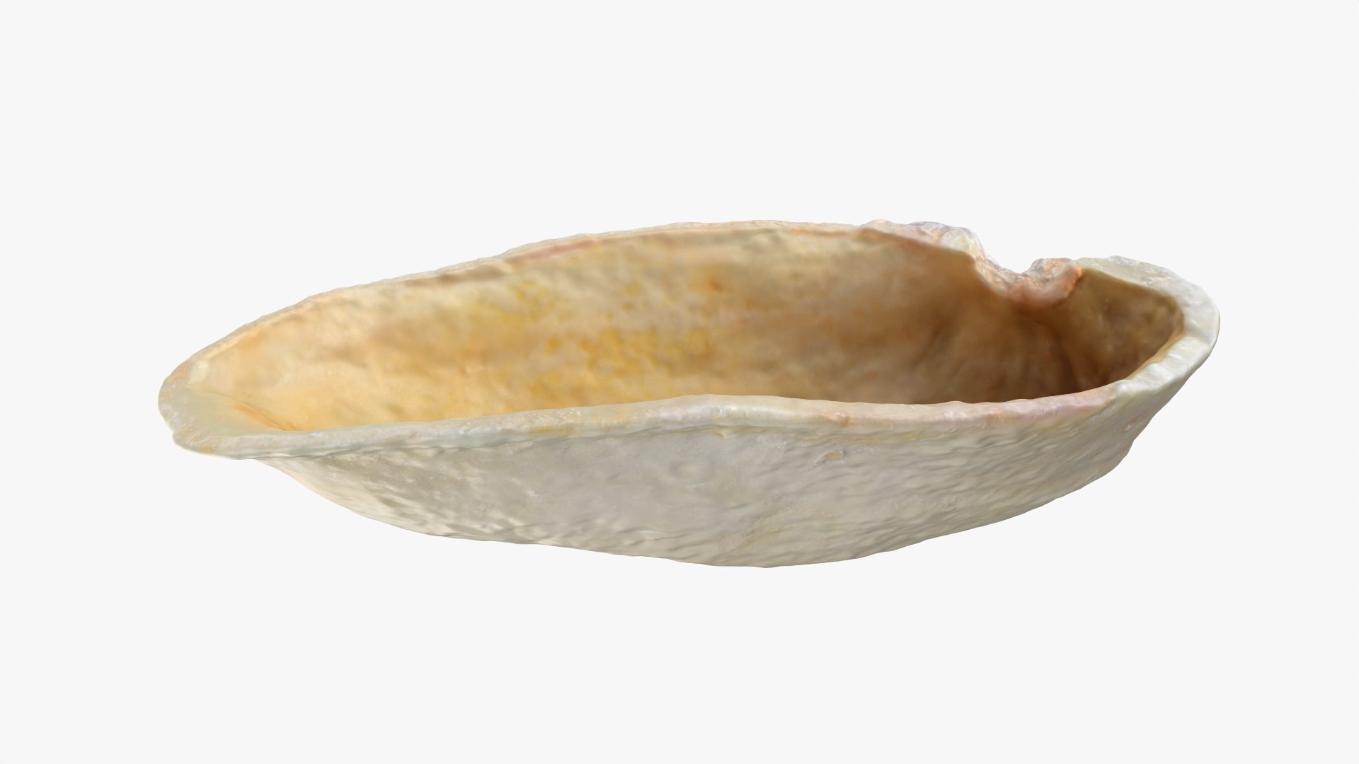 Empty Pistachio Shell 02 Model - TurboSquid 2447311