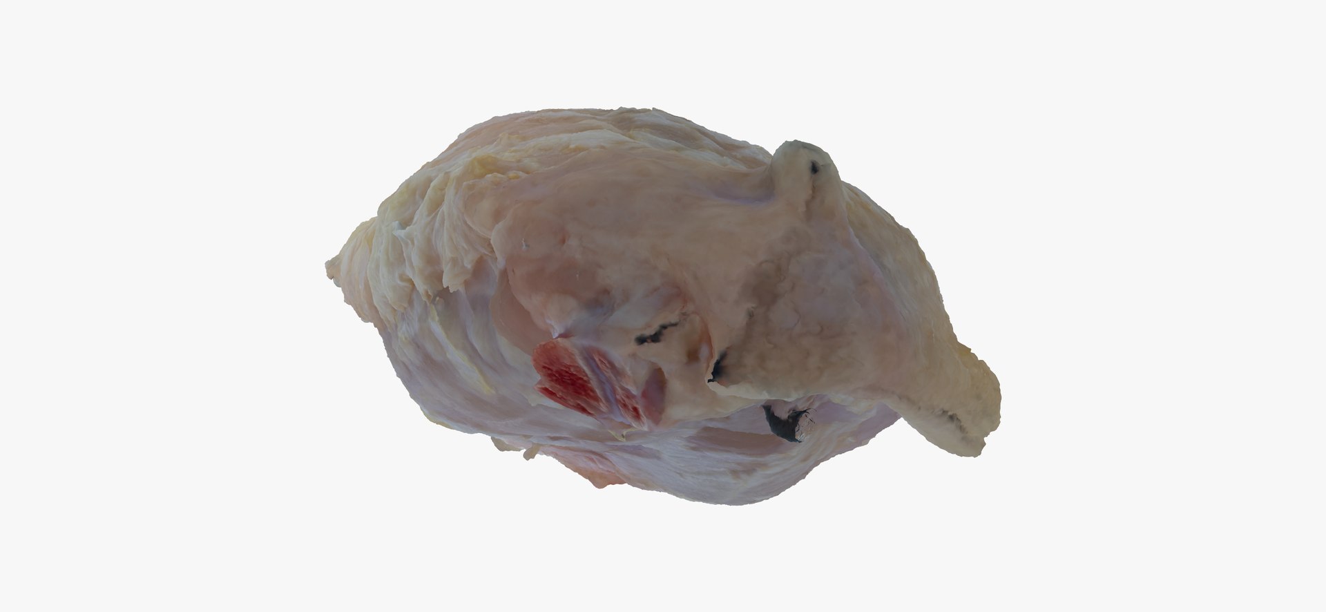 Chicken Wing 01 RAW Scan 3D model - TurboSquid 1819810