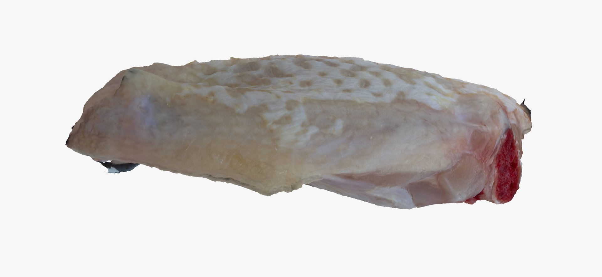 Chicken Wing 01 RAW Scan 3D model - TurboSquid 1819810