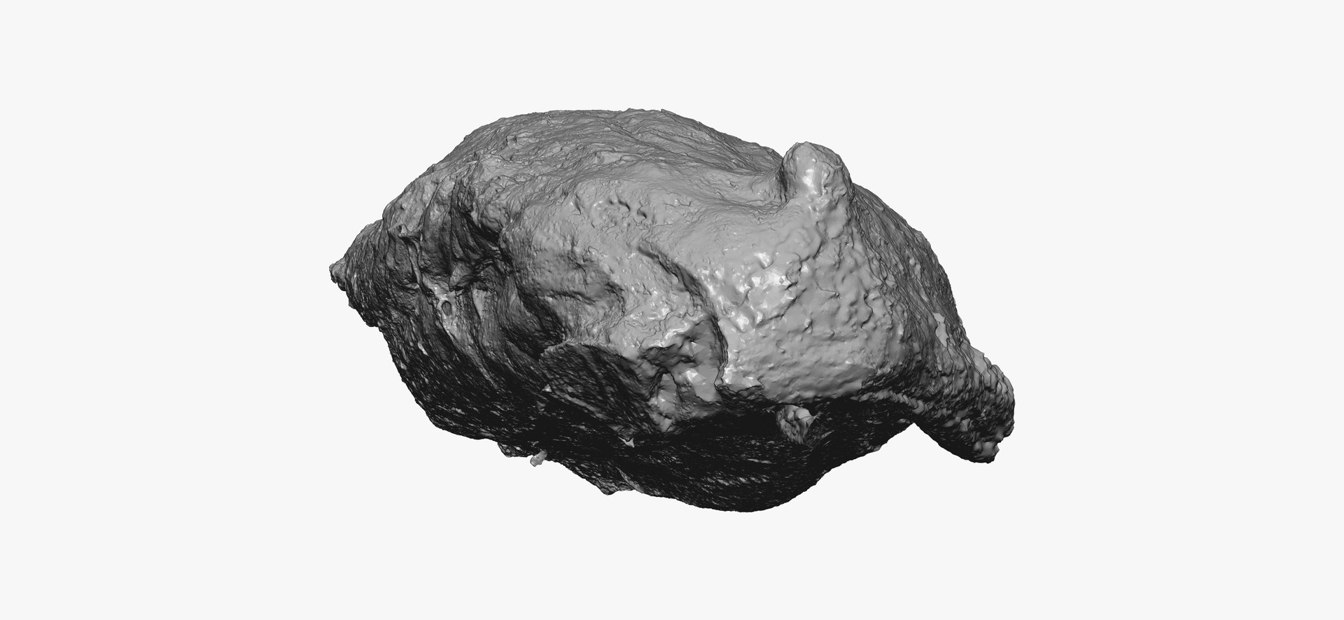 Chicken Wing 01 RAW Scan 3D model - TurboSquid 1819810