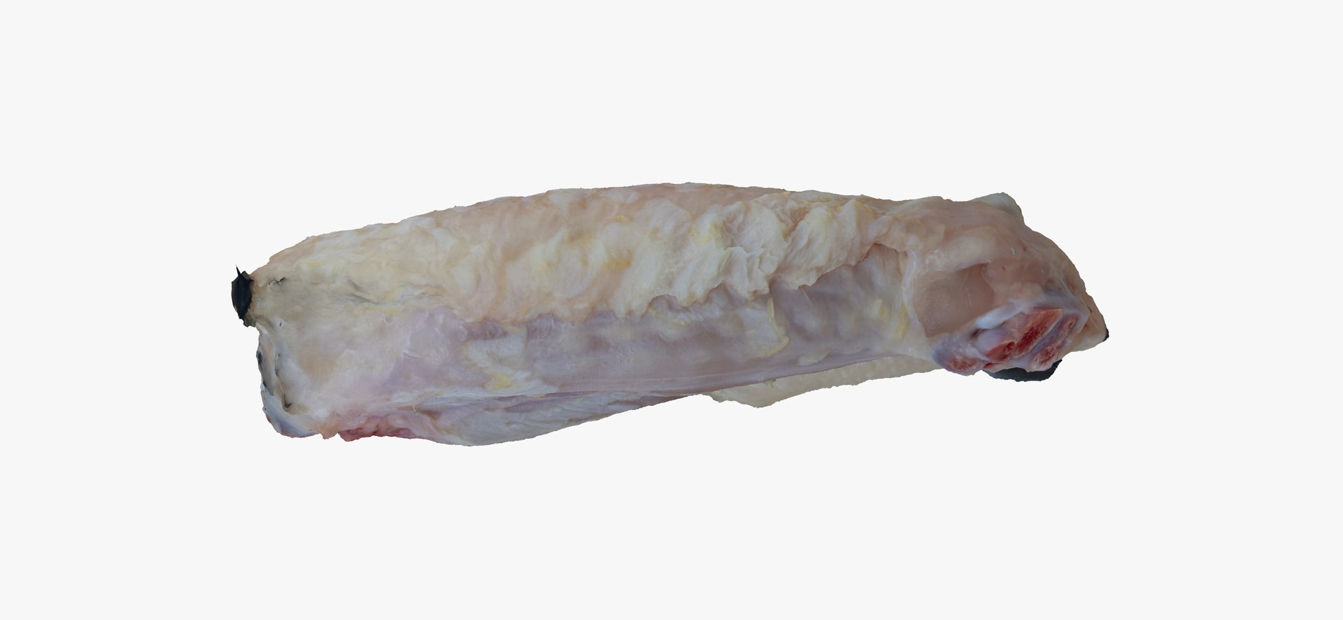 Chicken Wing 01 RAW Scan 3D model - TurboSquid 1819810