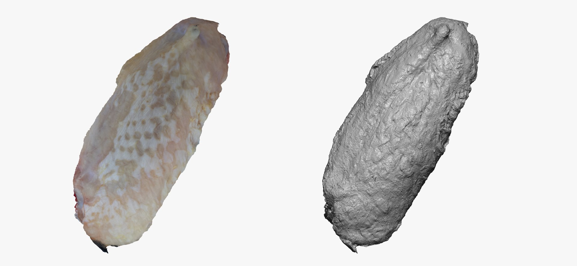 Chicken Wing 01 RAW Scan 3D model - TurboSquid 1819810