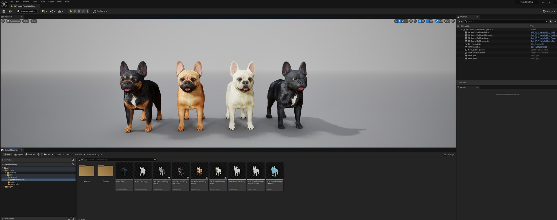 3D French Bulldog Animated UNREAL Project Model - TurboSquid 2314572