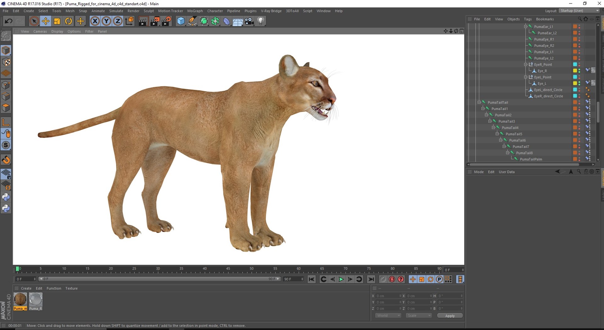 3D Model Puma Rigged For Cinema 4D - TurboSquid 2253113