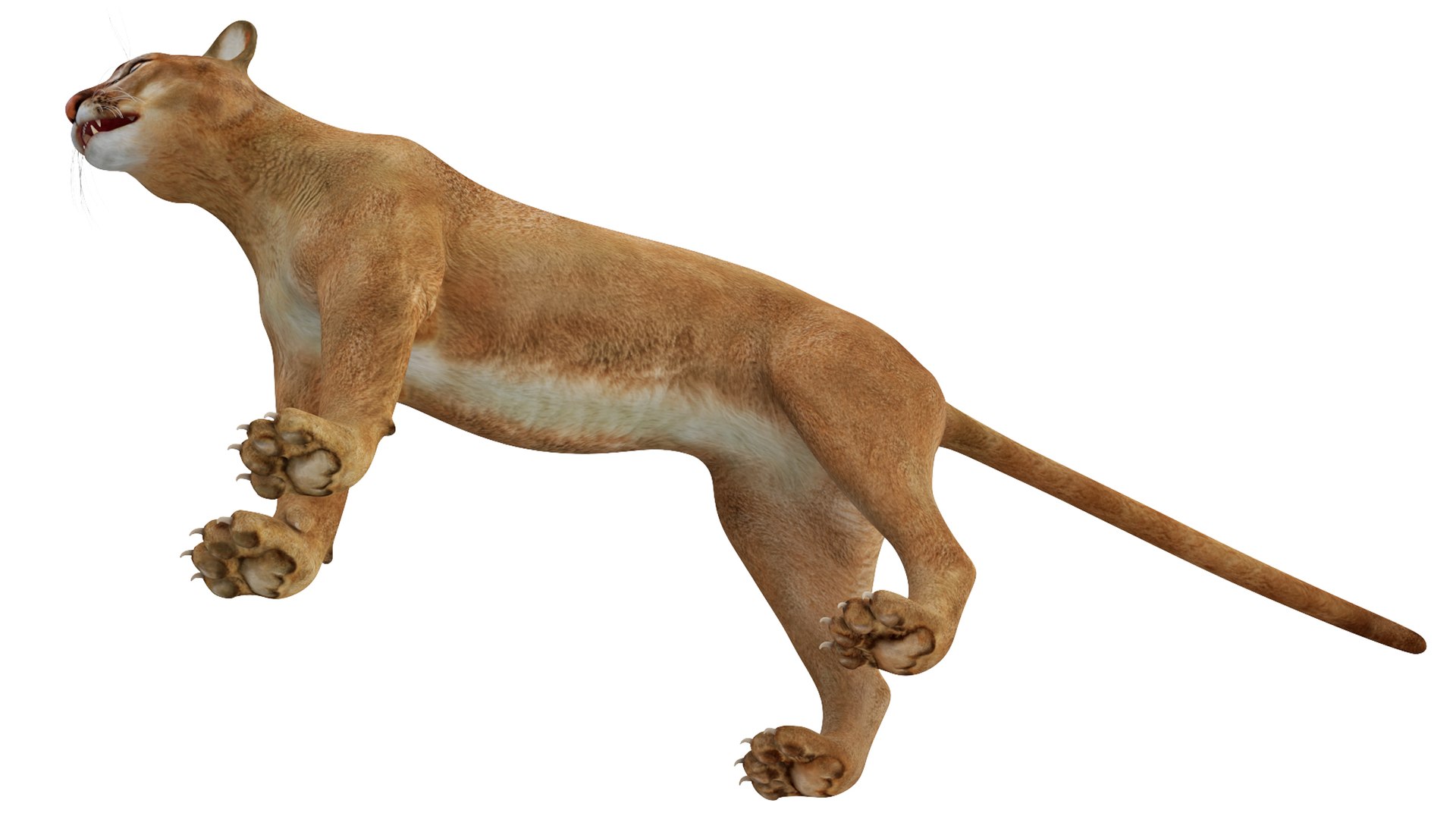 3D Model Puma Rigged For Cinema 4D - TurboSquid 2253113