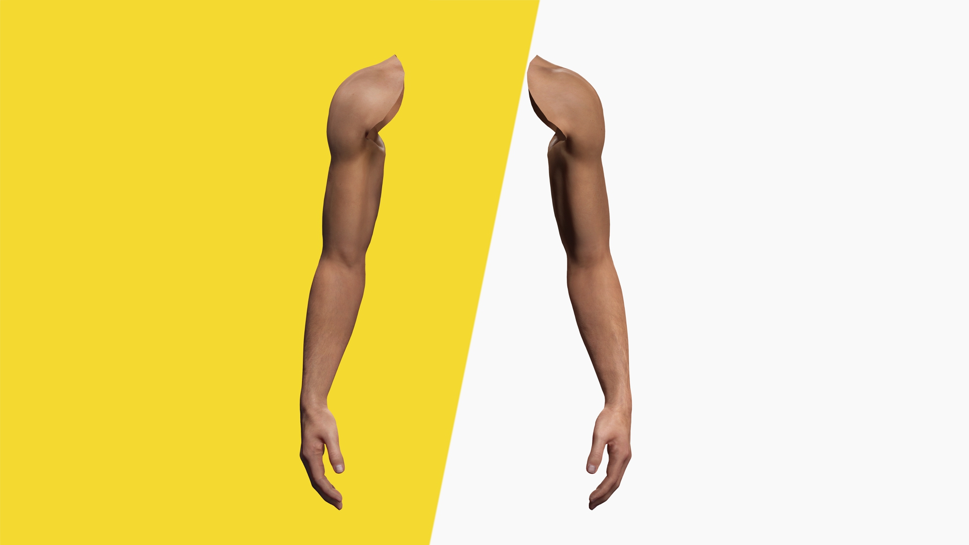 VR 4K Realistic Hands Multi-Skins Colors Rigged HQ Low-poly 3D model 3D ...