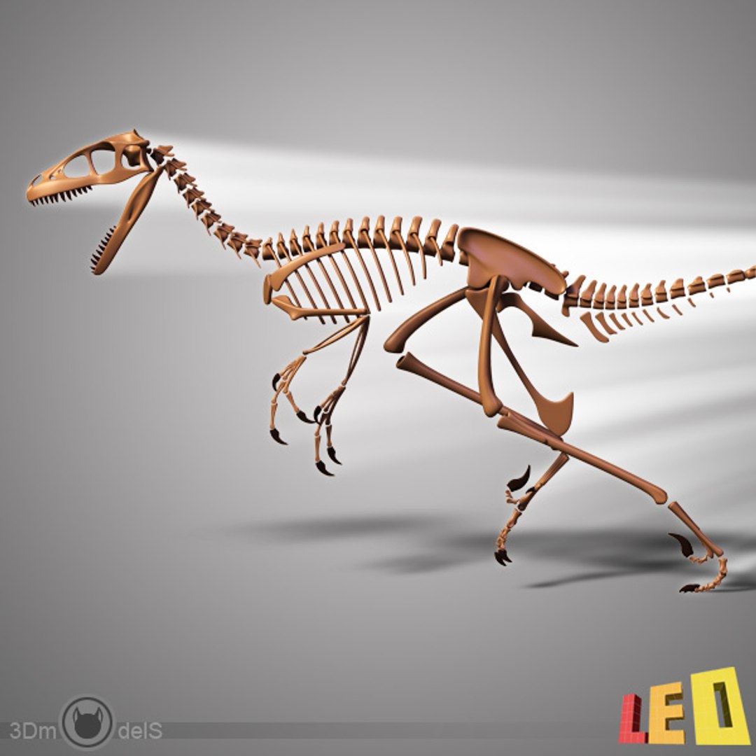 Dino Skeleton Dromaeosaurus Separate 3d Max