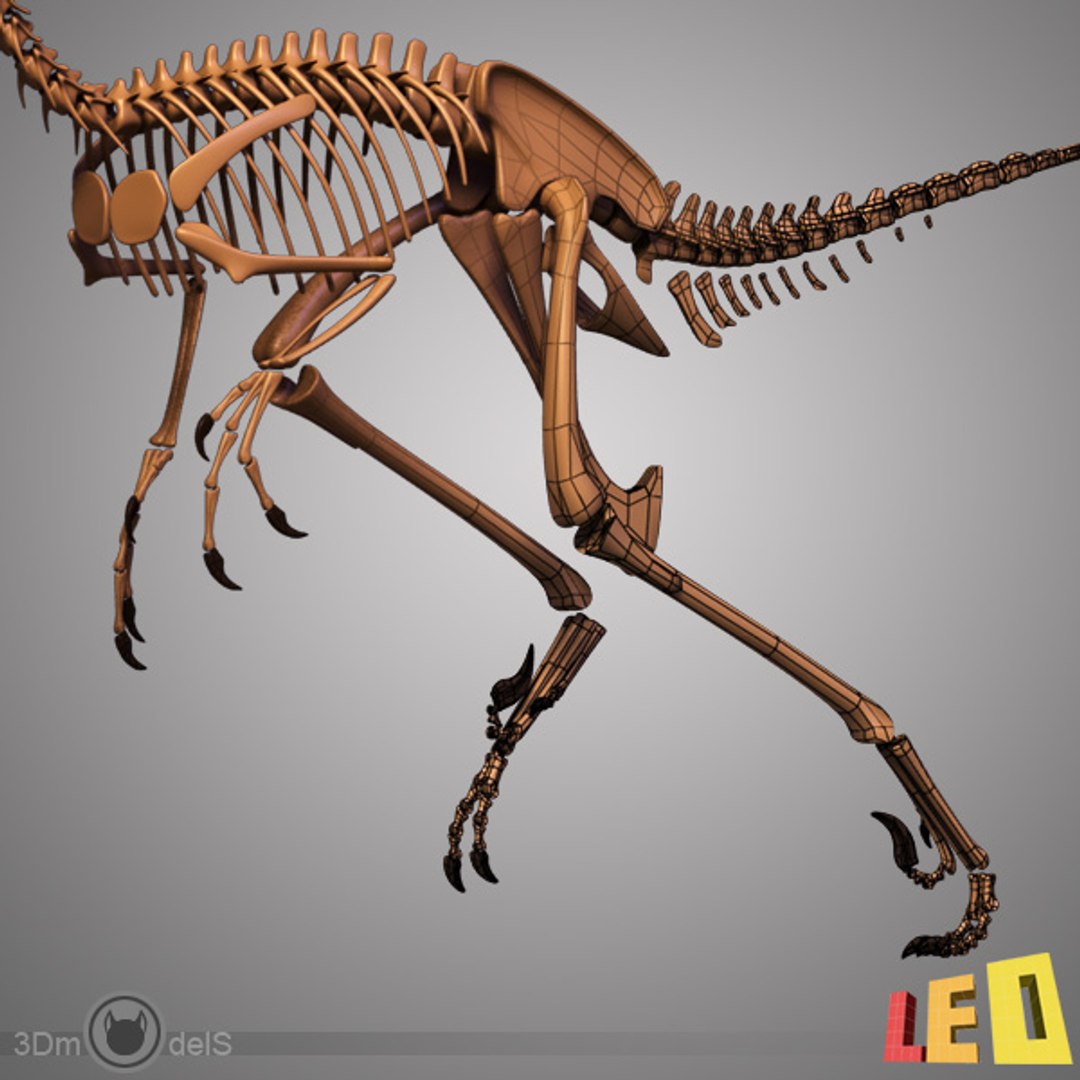 Dino Skeleton Dromaeosaurus Separate 3d Max