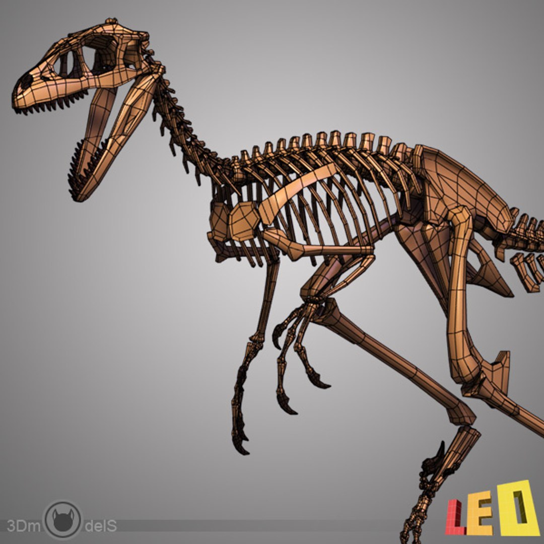Dino Skeleton Dromaeosaurus Separate 3d Max