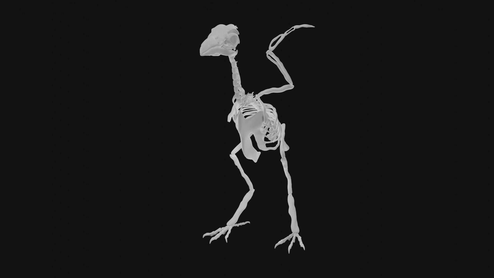 3D Raven Skeleton - TurboSquid 1992830