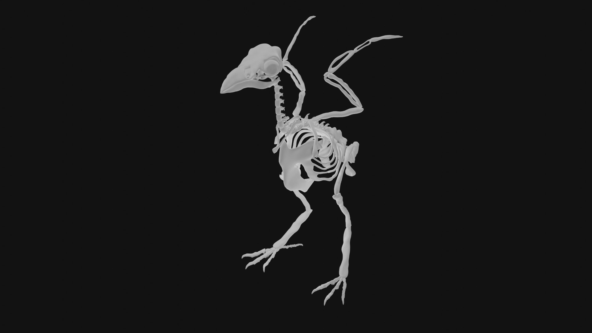 3D Raven Skeleton - TurboSquid 1992830
