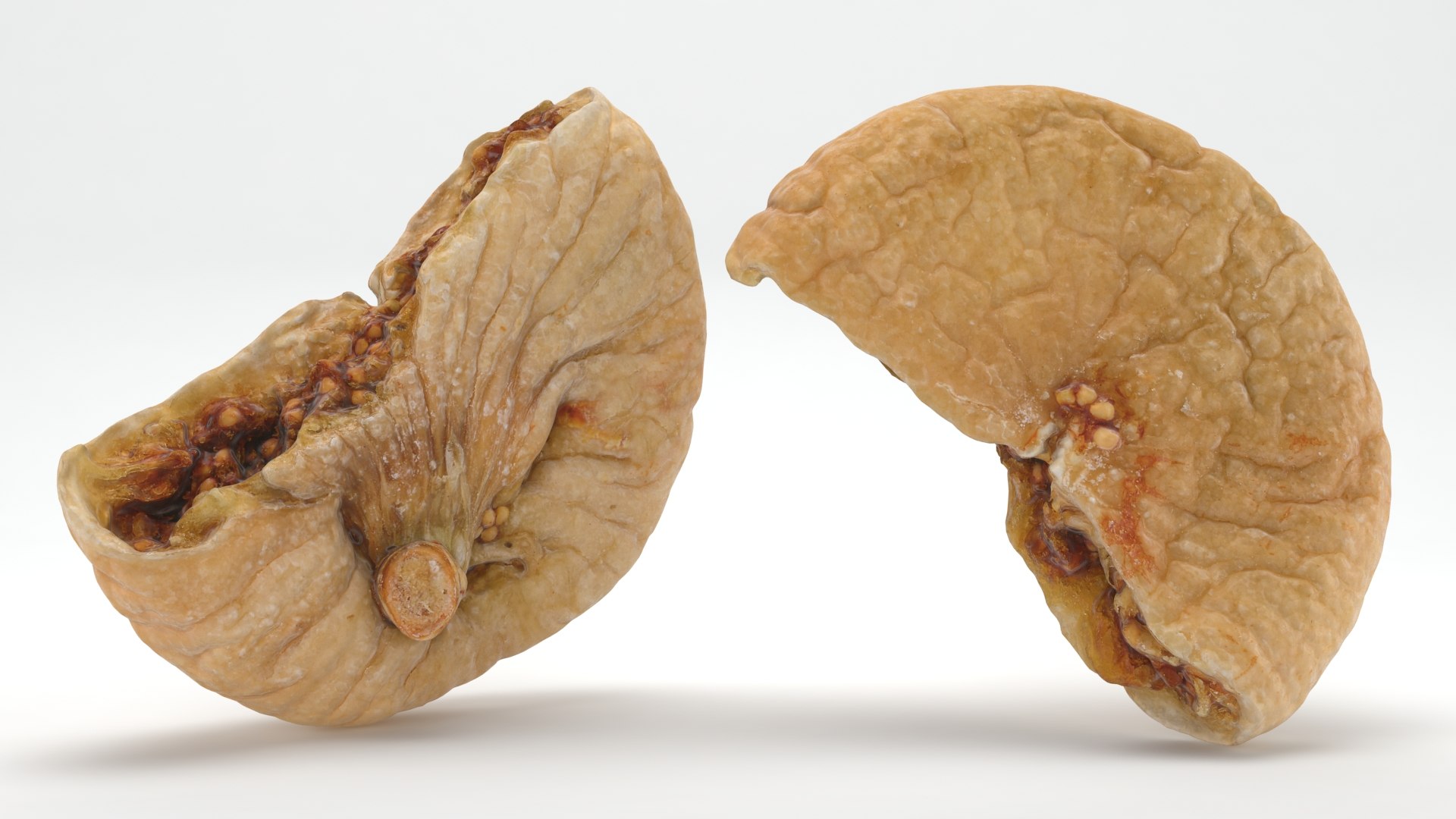 Dry Fig Cut 3D Model - TurboSquid 2007455