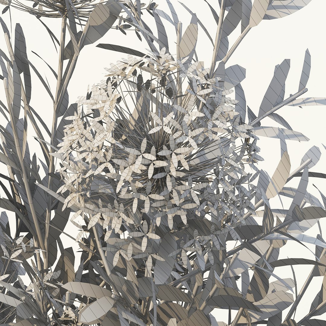 3d Tree Scatter Model