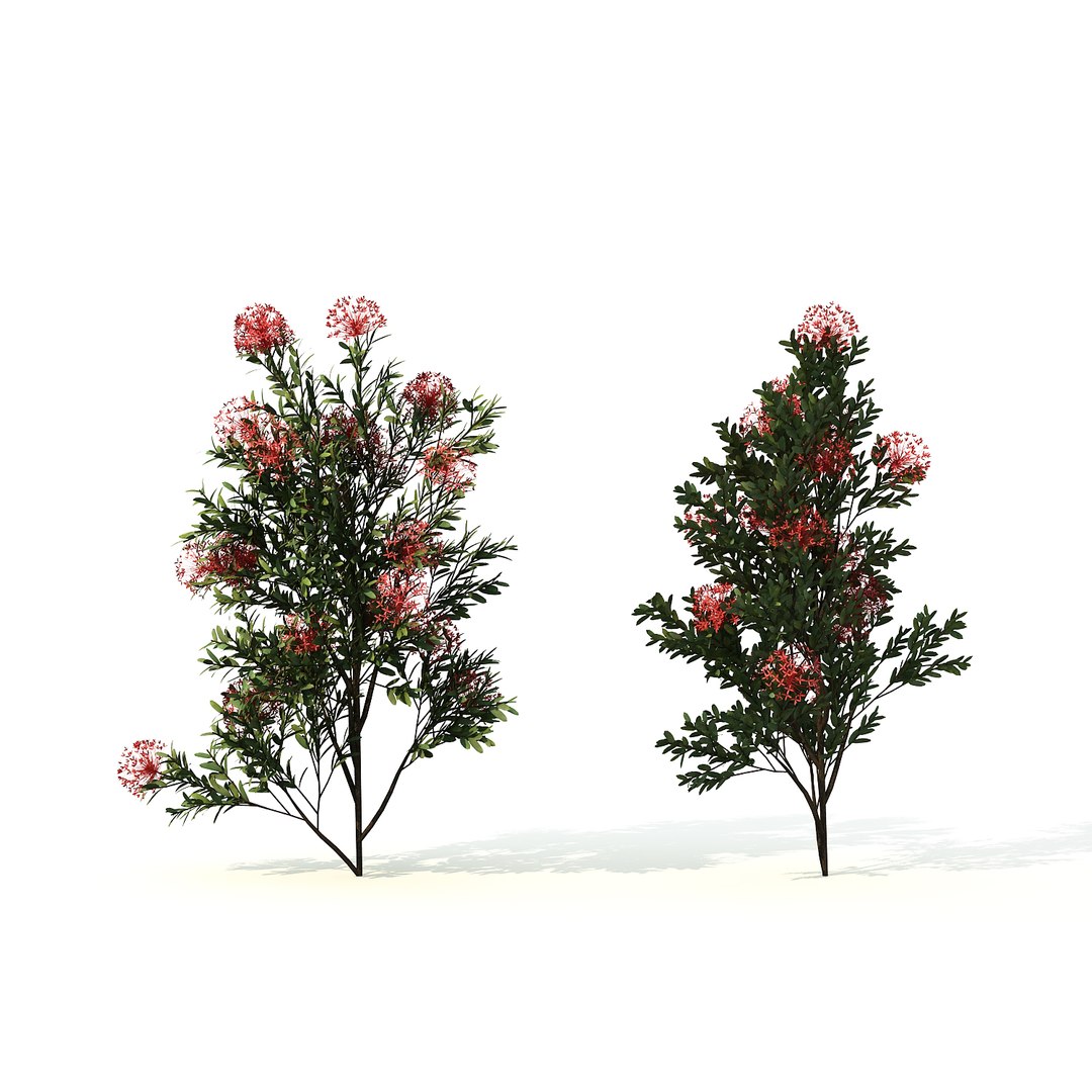 3d Tree Scatter Model