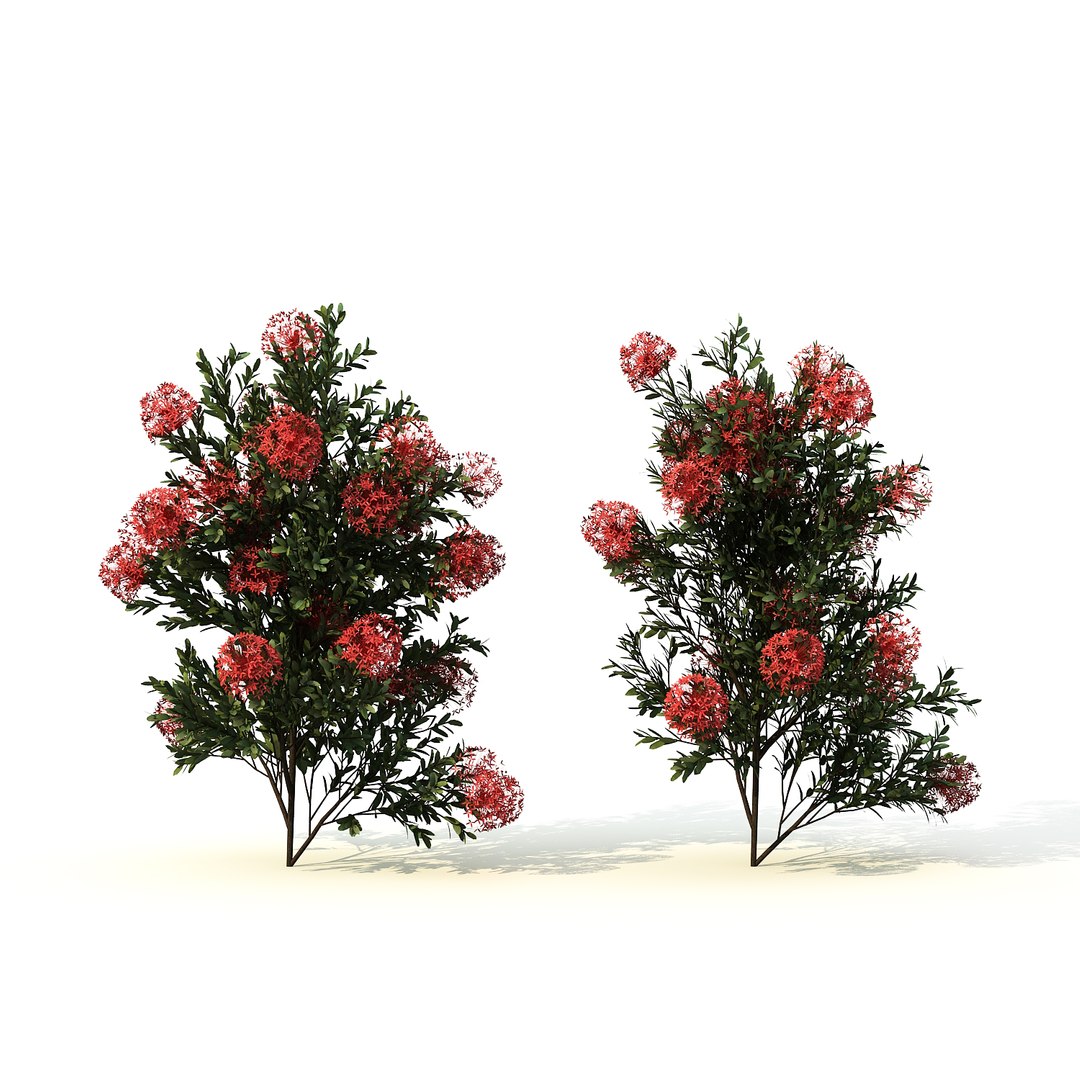3d Tree Scatter Model