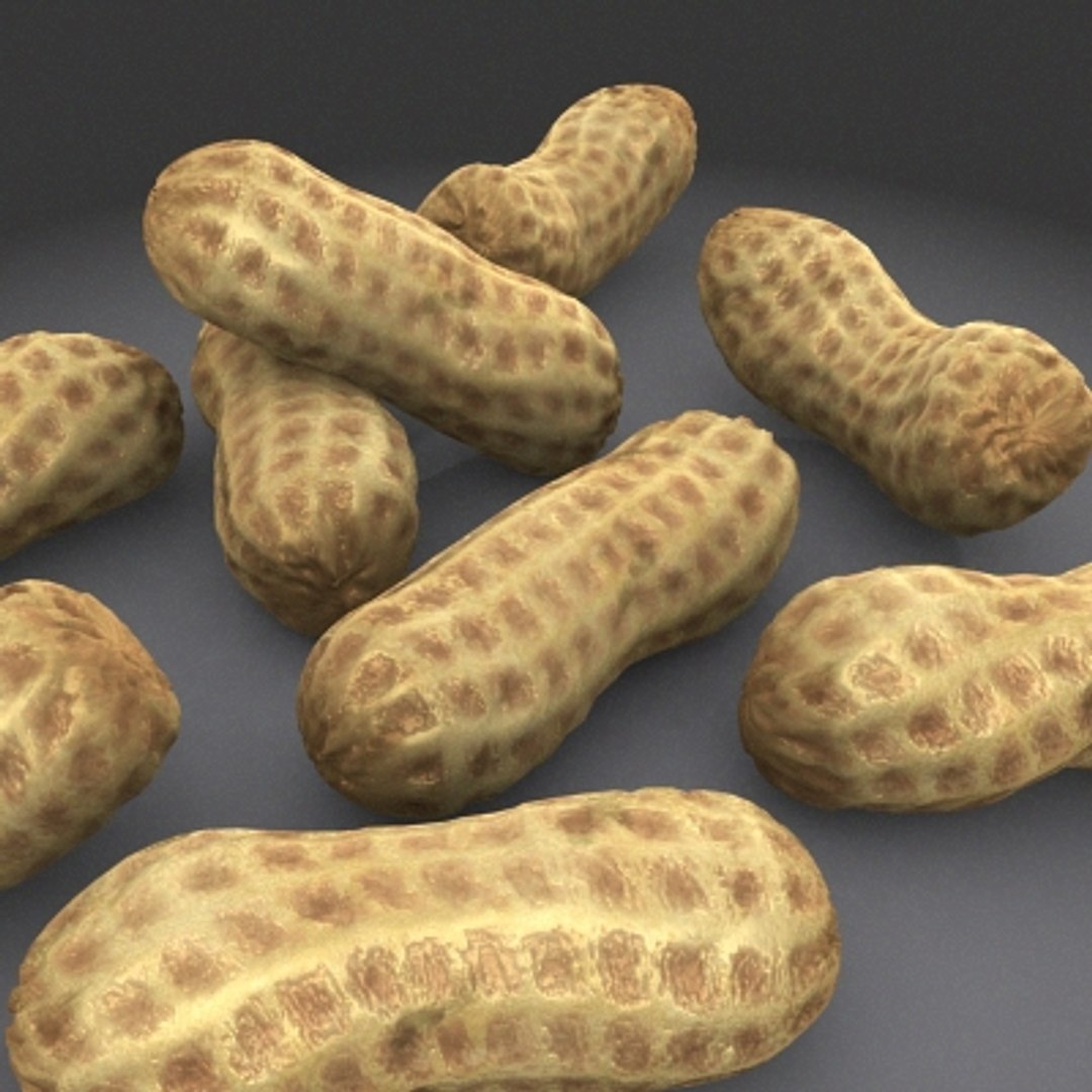 3ds max peanuts nut