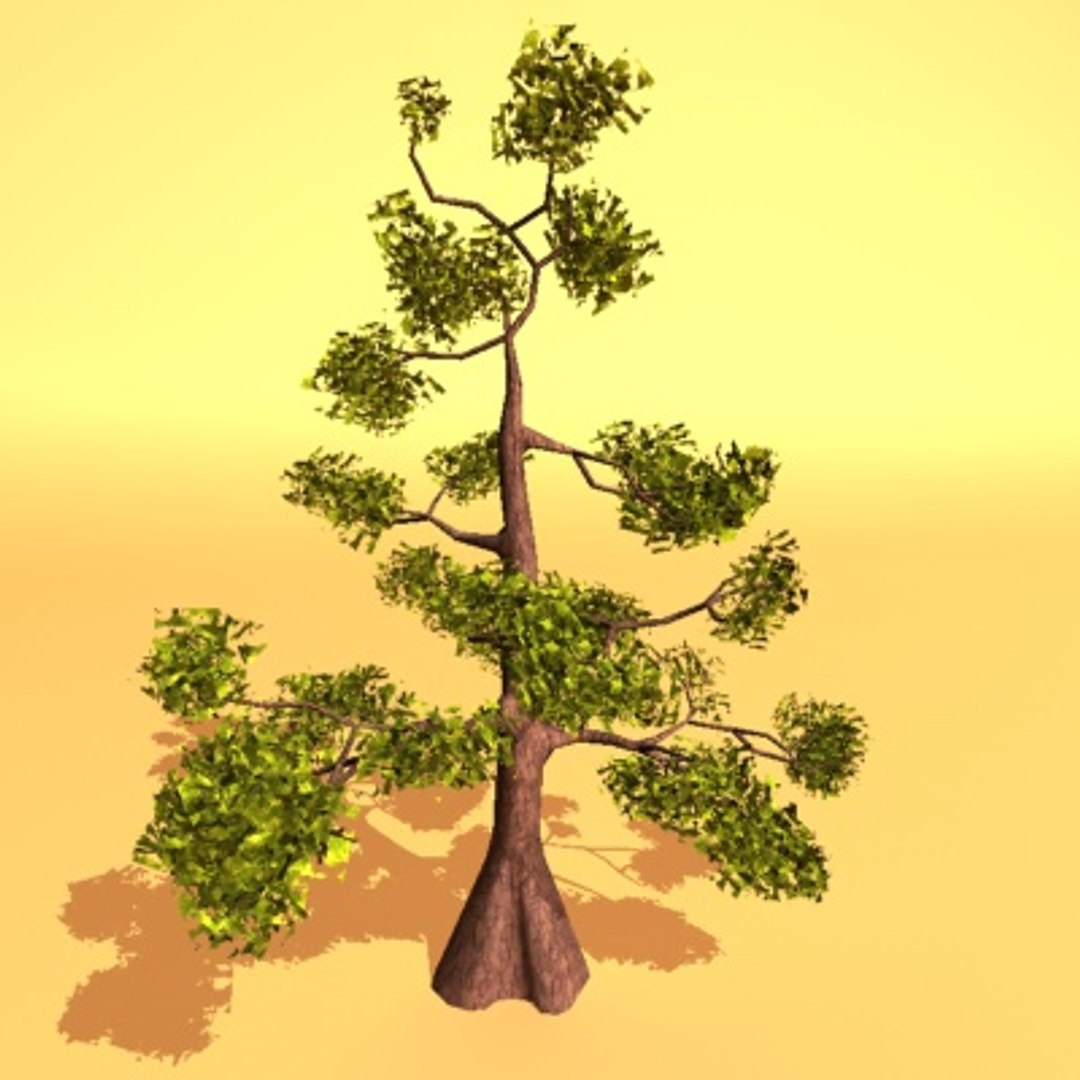 3d Step Trees