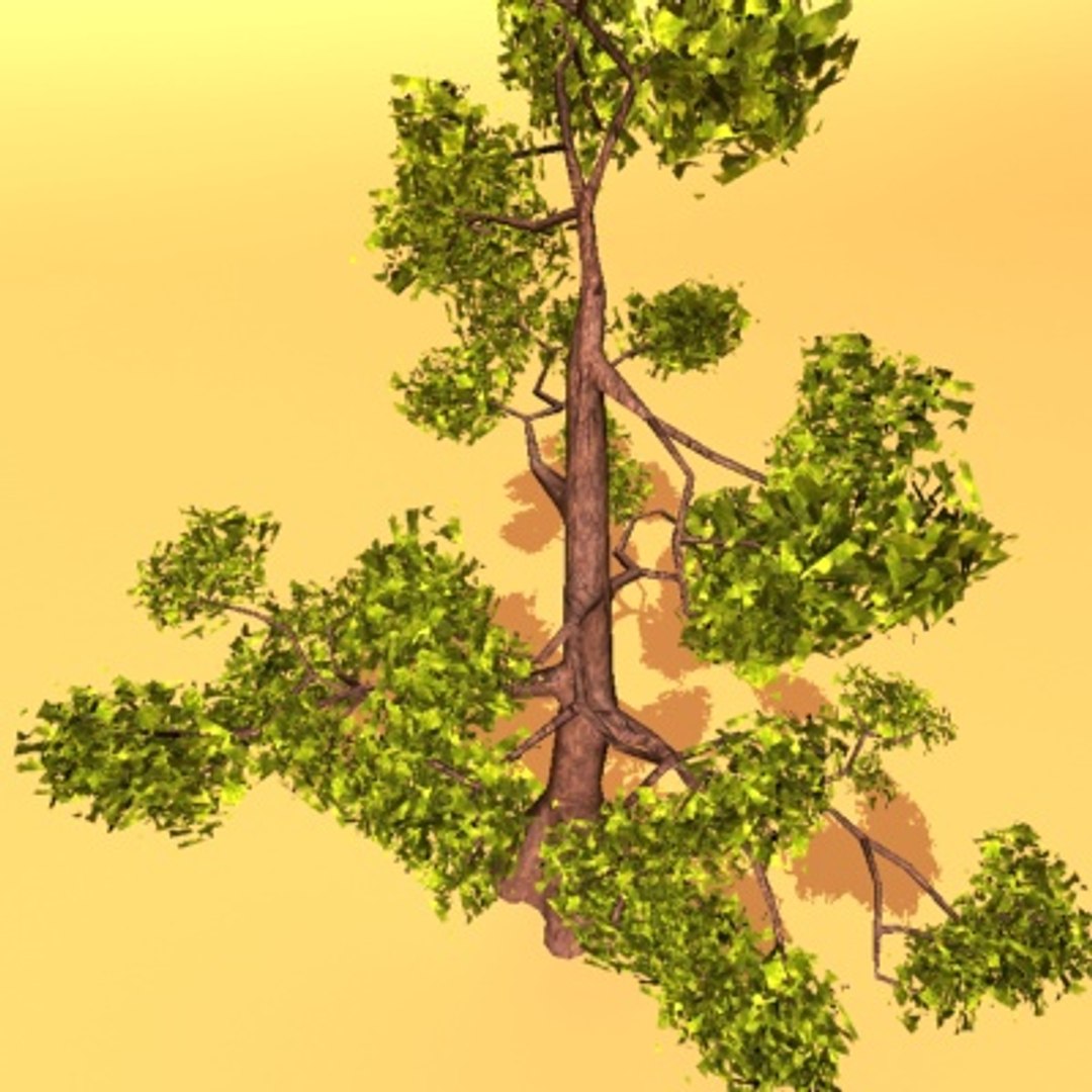 3d Step Trees