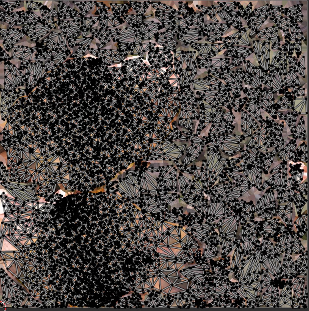 Pineapple 3D Model - TurboSquid 2207213