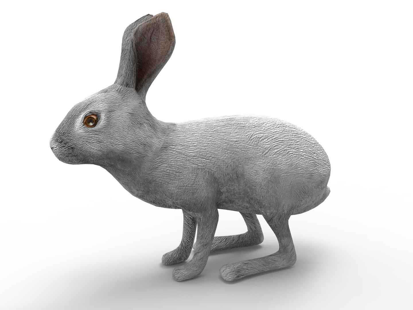 3D Model Rabbit - TurboSquid 1194326