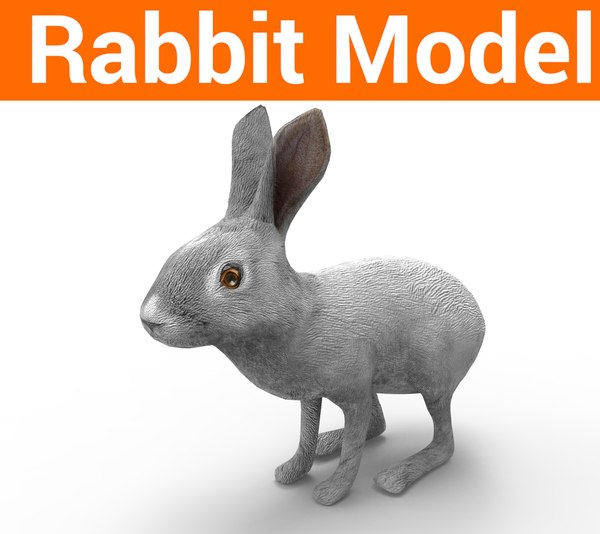 3D model rabbit - TurboSquid 1194326