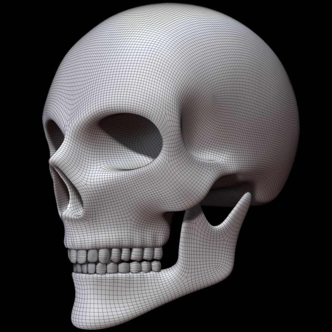 3D model skull - TurboSquid 1184294