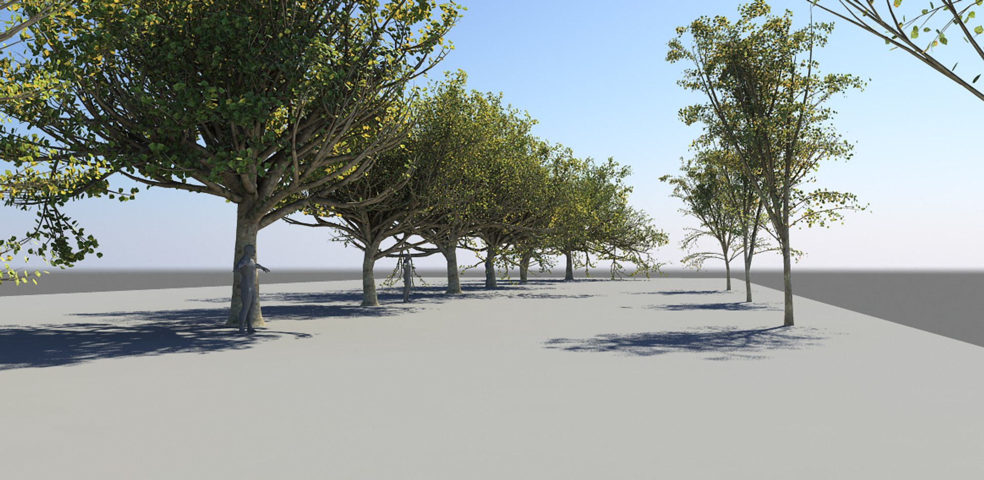3d Model Pack 12 Trees
