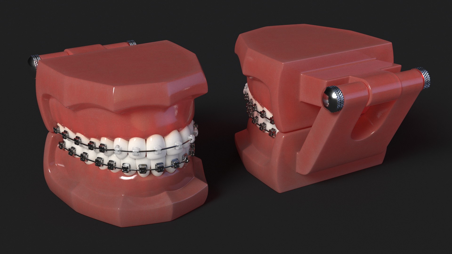 Ligature-Free Braces On Artificial Jaw 3D - TurboSquid 2349193
