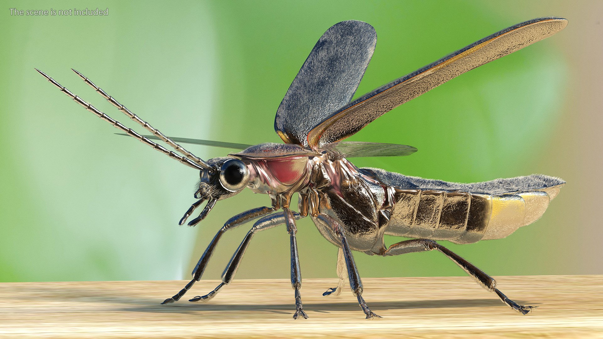 3D Model Firefly Fur Rigged - TurboSquid 2174776