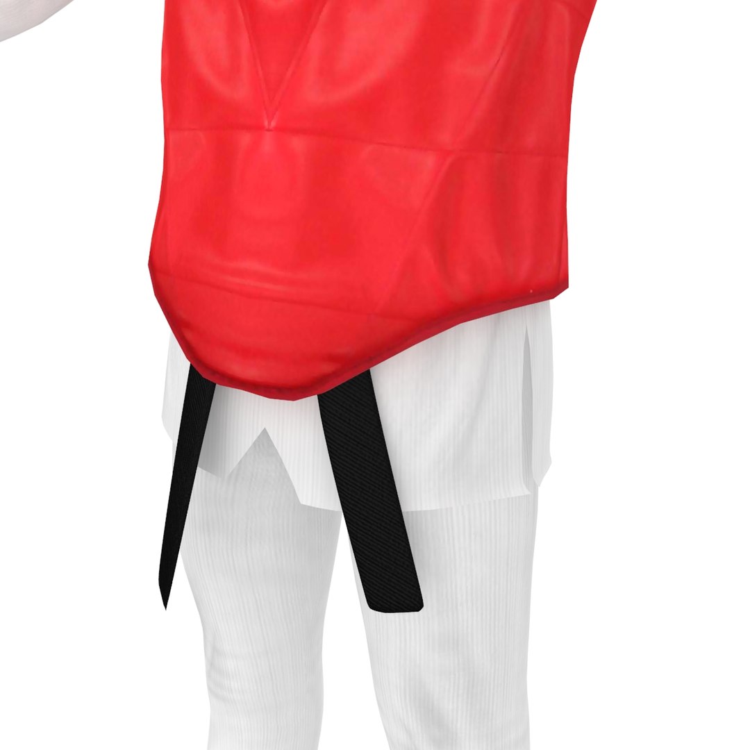 Taekwondo Martial Artist 3D Model - TurboSquid 1292986