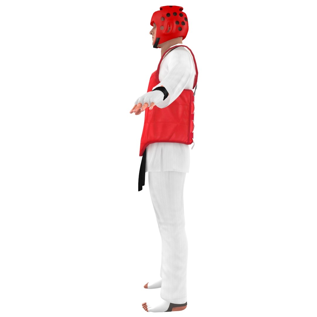 Taekwondo Martial Artist 3D Model - TurboSquid 1292986