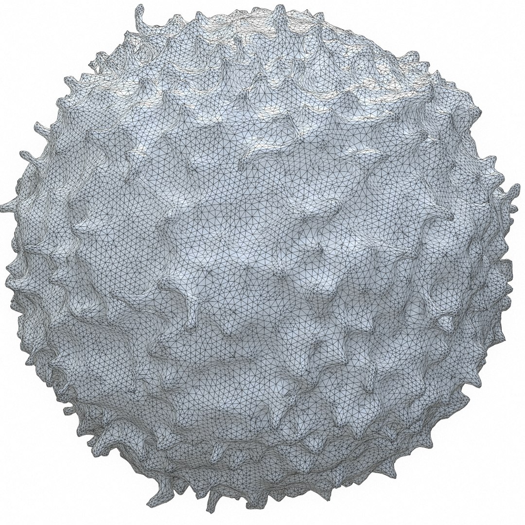 3D Lymphocyte Blood Cells - TurboSquid 1428201