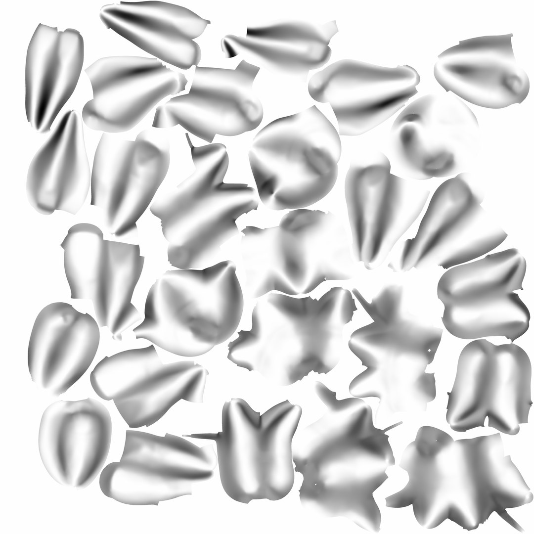 Obj Human Deformed Head Skull