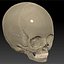 Obj Human Deformed Head Skull