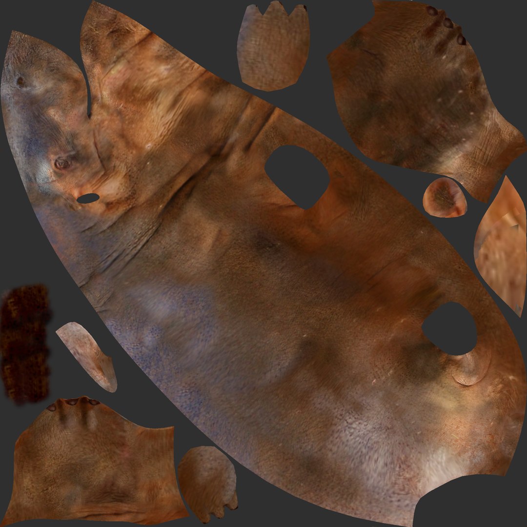An Mal 3D Model - TurboSquid 1700931