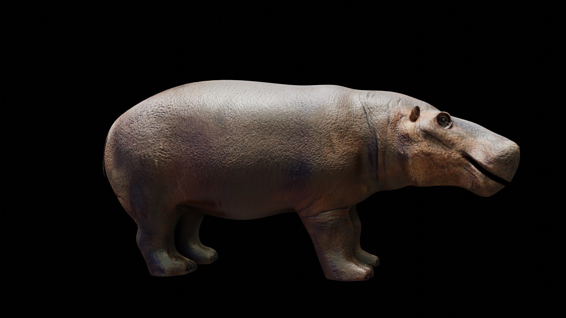 An Mal 3D Model - TurboSquid 1700931
