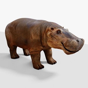 3D Hipo Models | TurboSquid