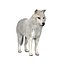 3d Wolves V2 Wolf Model