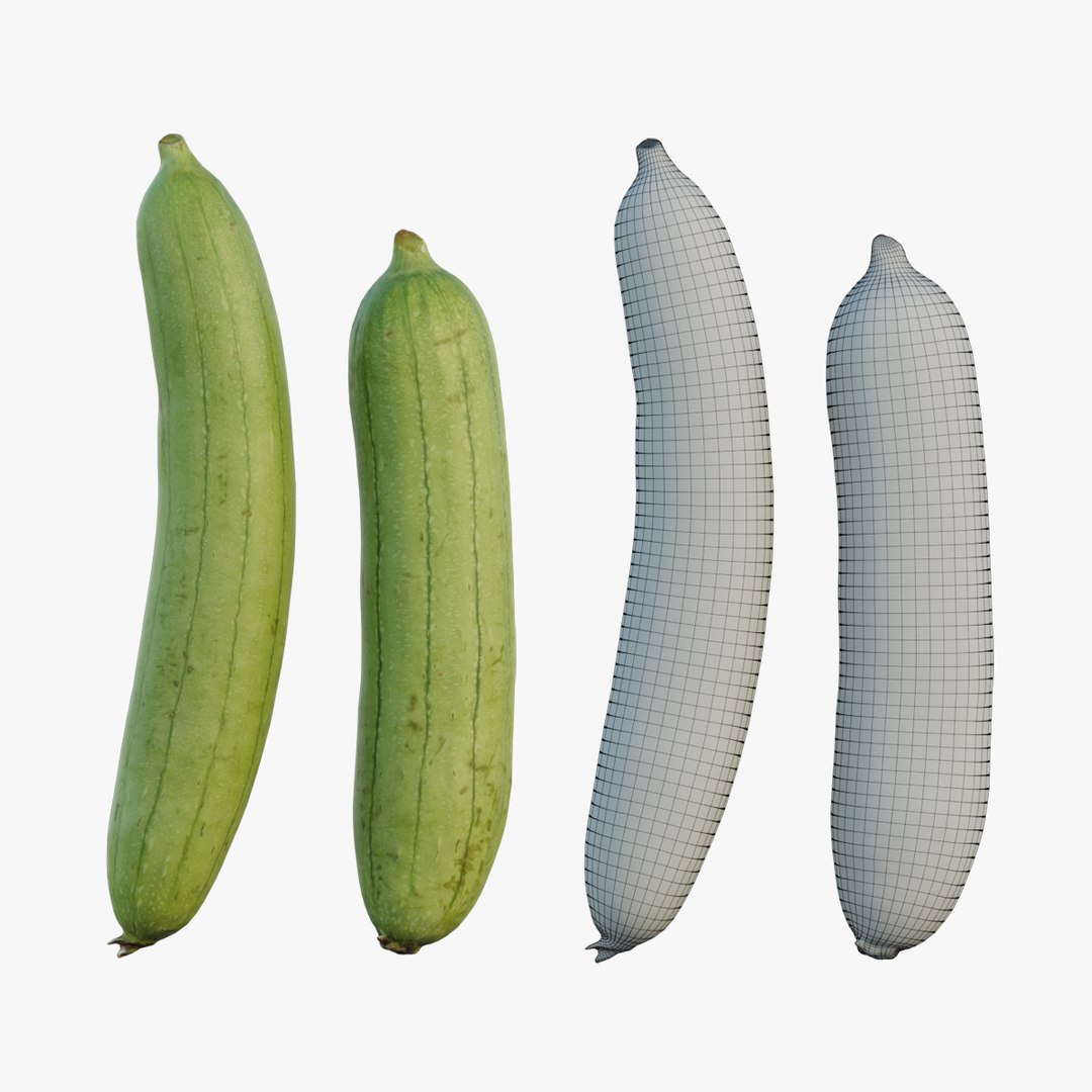 3D Sponge Gourd 02 - TurboSquid 1918164